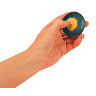 GoTalk Button | Westminster Technologies